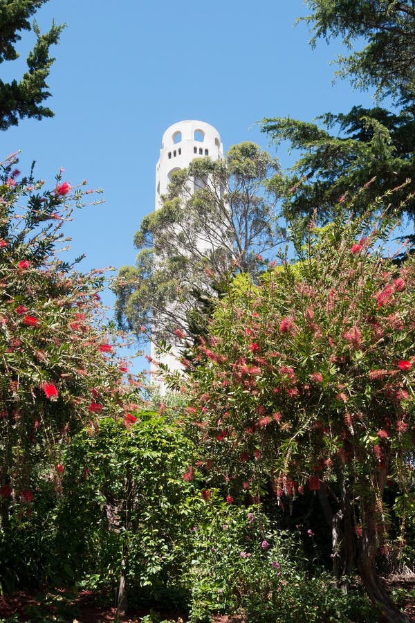 Coit Tower stock image. Image of landscape, street, travel - 54470757