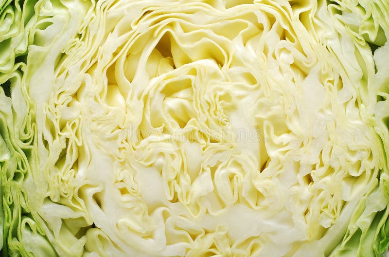 Col imagen de archivo. Imagen de alimento, ingrediente - 19551341