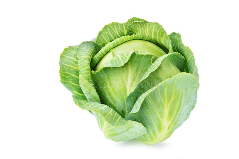 Col Aislada En El Fondo Blanco Imagen de archivo - Imagen de exuberante ...