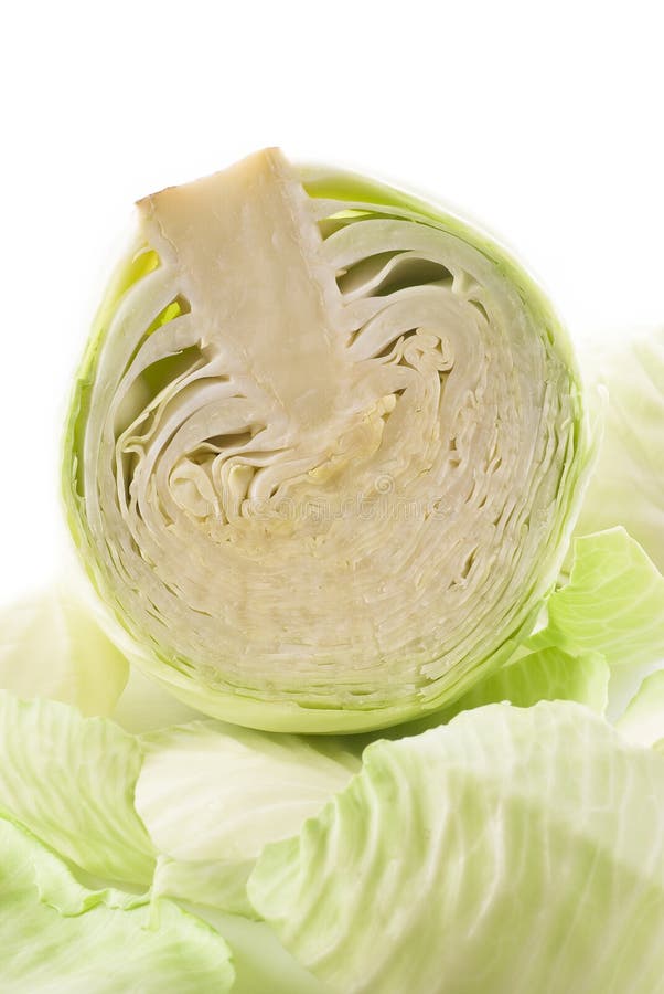 Col blanca foto de archivo. Imagen de fresco, vegetariano - 13481984