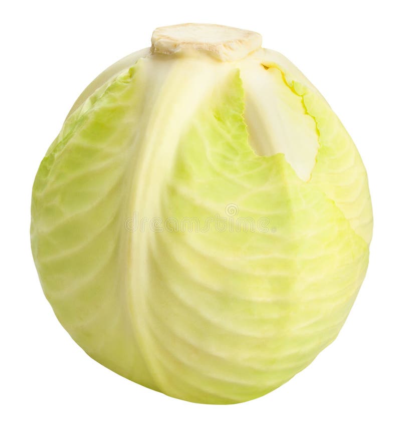 Col blanca foto de archivo. Imagen de cubo, ingrediente - 69241996
