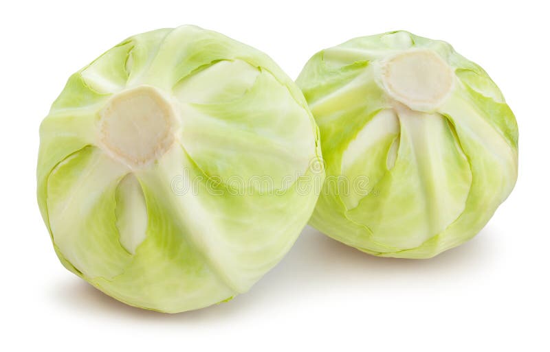 Col blanca foto de archivo. Imagen de alimento, sano - 83285204