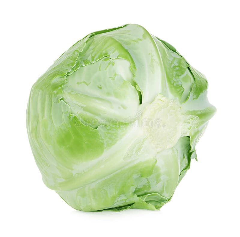 Col Blanca Aislada En Blanco Foto de archivo - Imagen de comestible ...