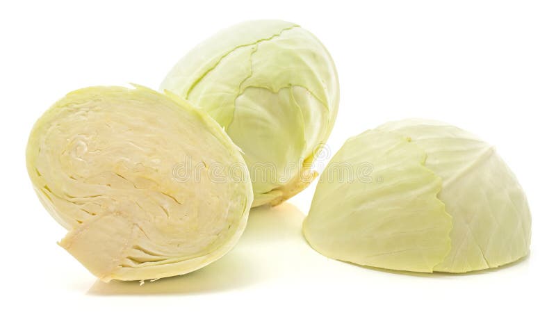 Col blanca en blanco foto de archivo. Imagen de blanco - 105870160