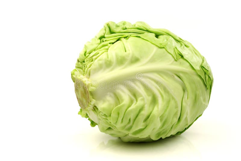 Col blanca foto de archivo. Imagen de fresco, blanco - 13481984