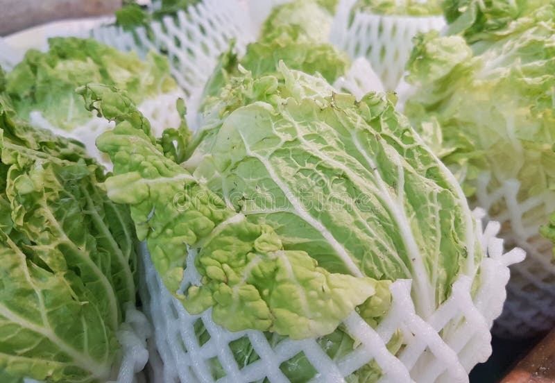 Col China En El Supermercado Imagen de archivo - Imagen de agricultura ...