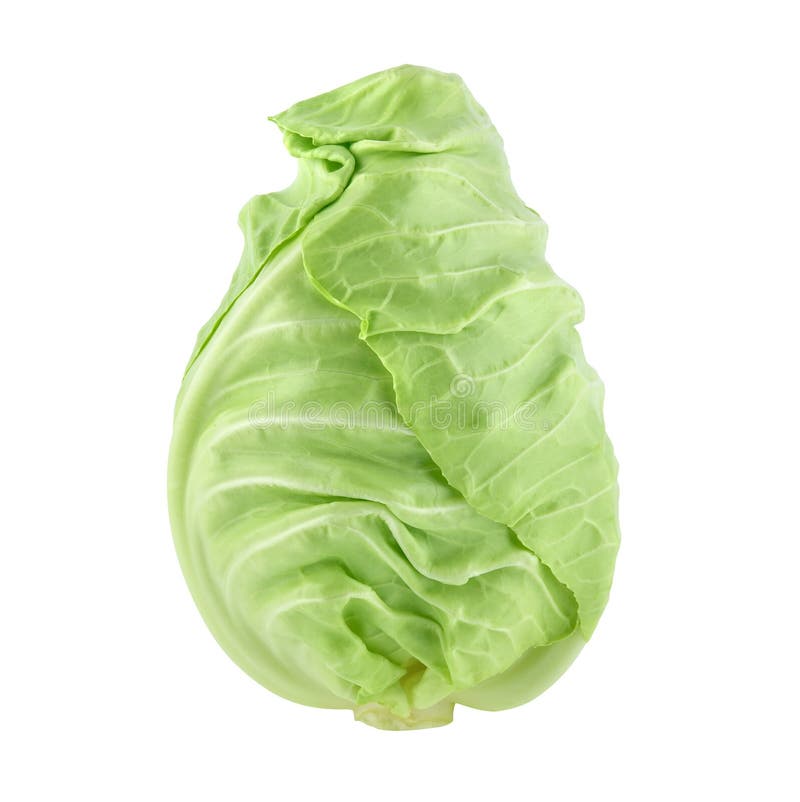 Col Con Punta Aislada En Fondo Blanco Imagen de archivo - Imagen de ...