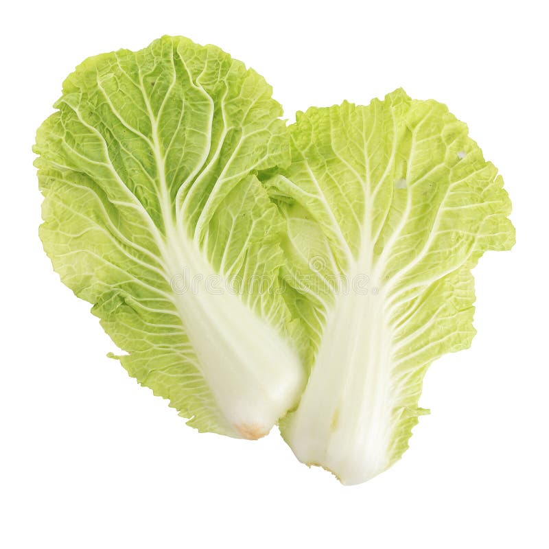 Hoja de la lechuga foto de archivo. Imagen de estupendo - 32352192