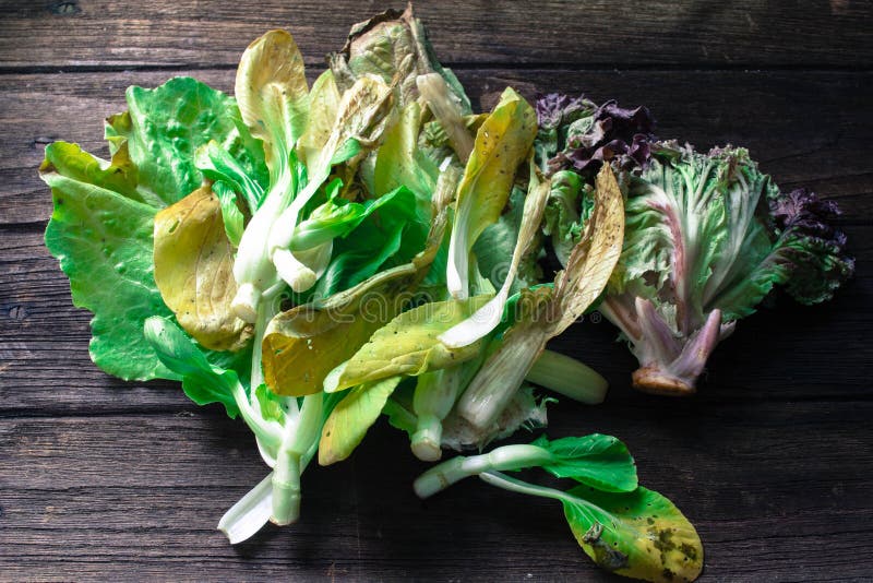 Lechuga china imagen de archivo. Imagen de eating, prote - 14730703