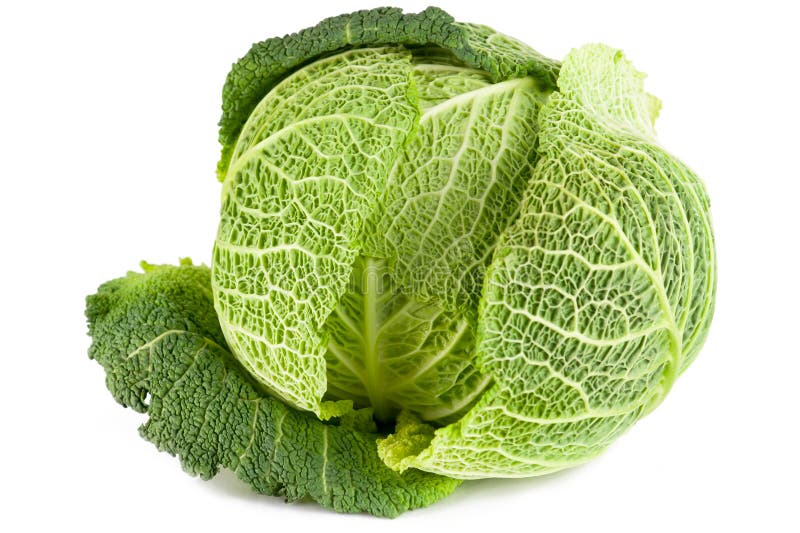 Colinabo de la col imagen de archivo. Imagen de cocina - 25982625