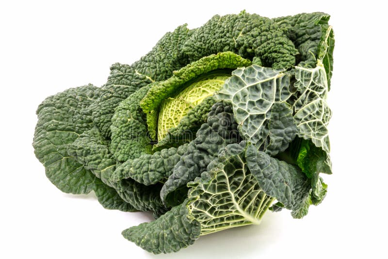 Col de col rizada imagen de archivo. Imagen de savoy - 49993705