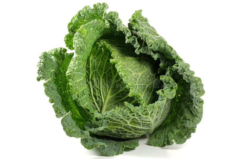 Col de col rizada foto de archivo. Imagen de dieta, agricultura - 76037844
