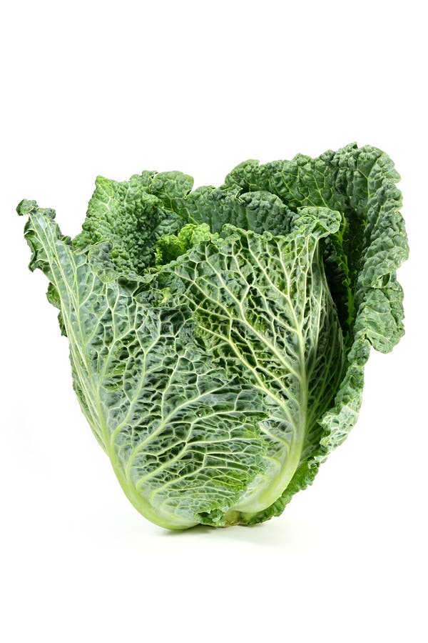 Col de col rizada foto de archivo. Imagen de dieta, agricultura - 76037844