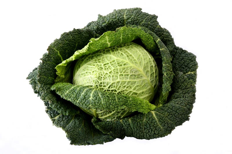 Col De Col Rizada Principal Imagen de archivo - Imagen de completo ...