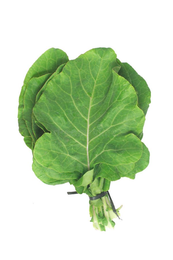 Col de Couve Mineira foto de archivo. Imagen de paquete - 79996630