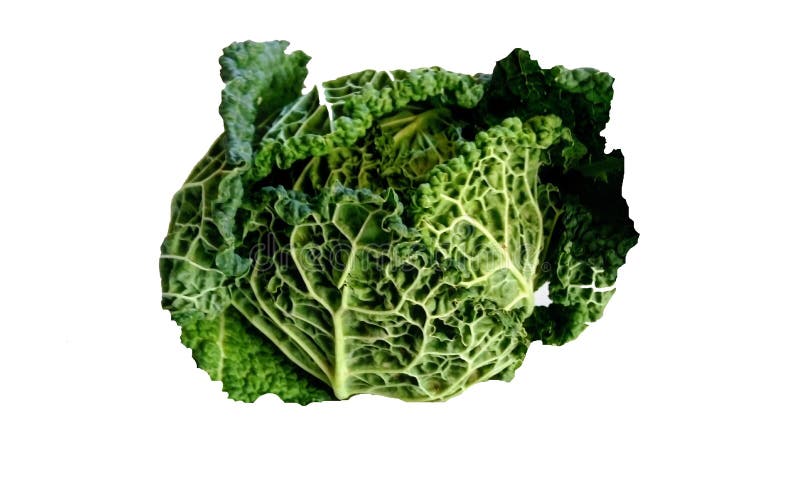 Col De Col Rizada Aislada En Un Fondo Blanco Foto de archivo - Imagen ...