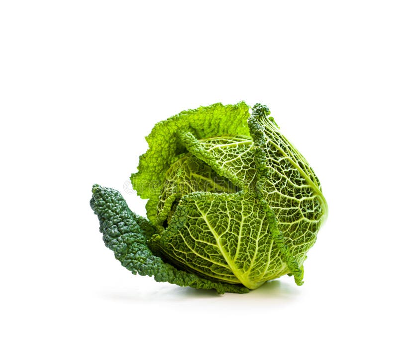 Col De Col Rizada Aislada En El Fondo Blanco Imagen de archivo - Imagen ...
