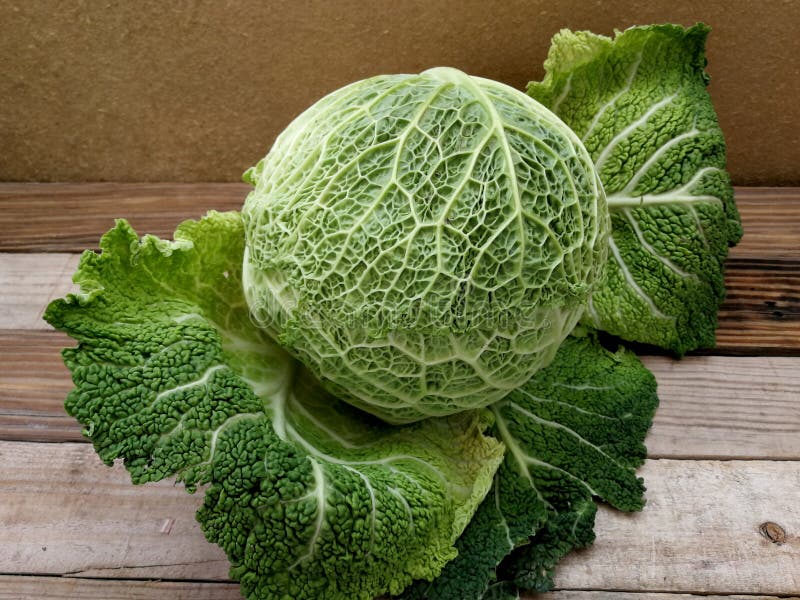 Col Exuberante Como Fondo De Las Verduras Imagen de archivo - Imagen de ...