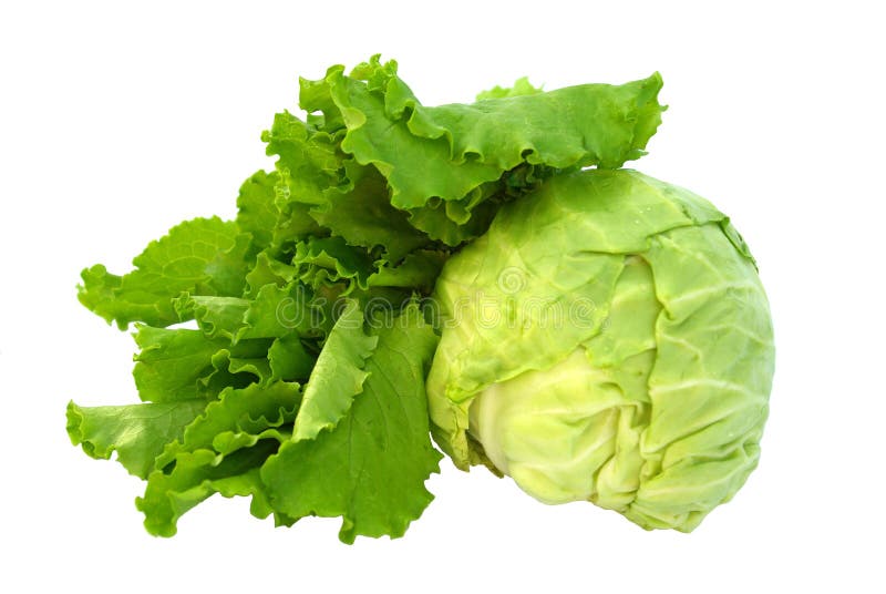 Col Fresca Y Lechuga Aisladas En Blanco Imagen de archivo - Imagen de ...