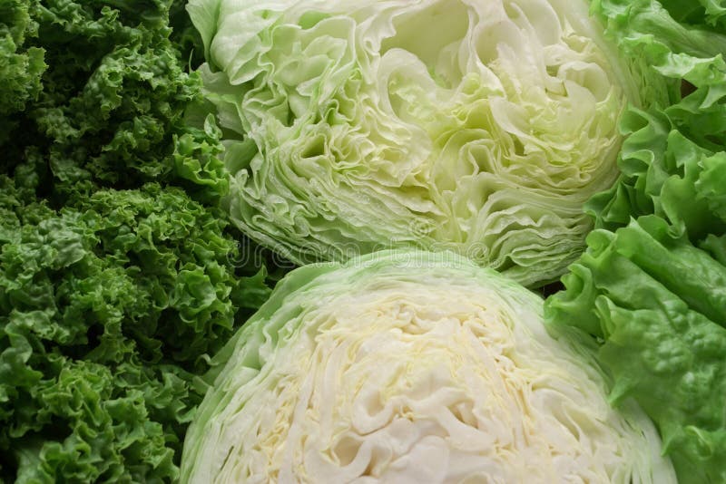 Col, Lechuga De Iceberg Y Lechuga Como Fondo De La Comida Imagen de ...
