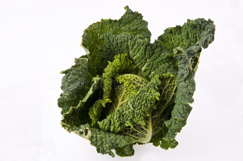 Col rizada imagen de archivo. Imagen de colar, verde - 28605457