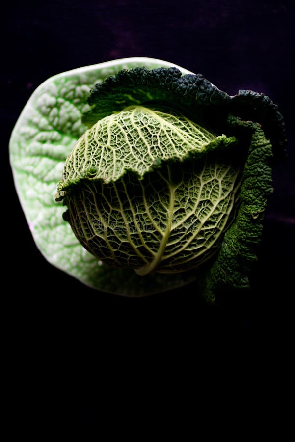 Col Savoy Aislada En Un Fondo Negro Imagen de archivo - Imagen de ...