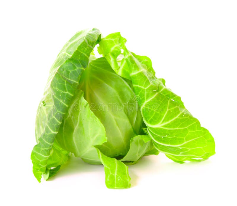 Col verde aislada foto de archivo. Imagen de cosecha - 10186718
