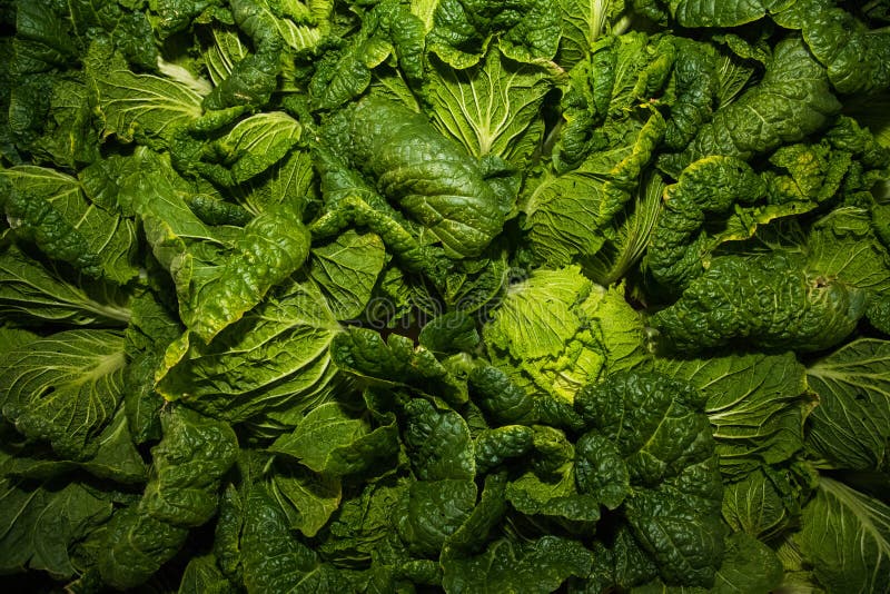 Col verde como fondo foto de archivo. Imagen de ingrediente - 162223618
