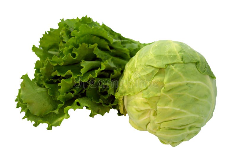 Lechuga De Iceberg Verde En El Fondo Blanco, Aislante Fresco De La Col ...