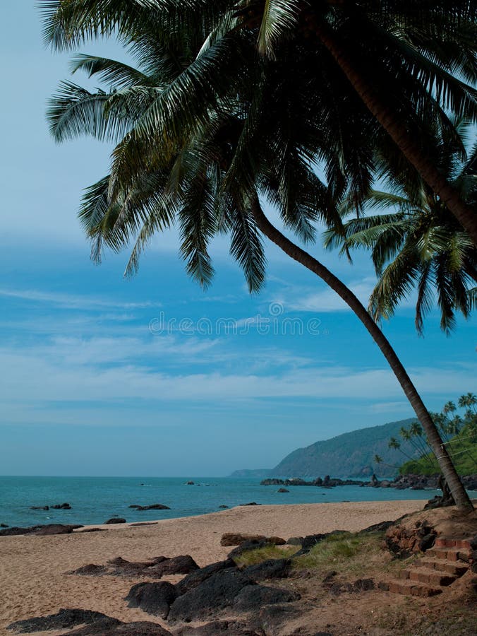 Cola beach Goa stock image. Image of parasol, palm, island - 36998685