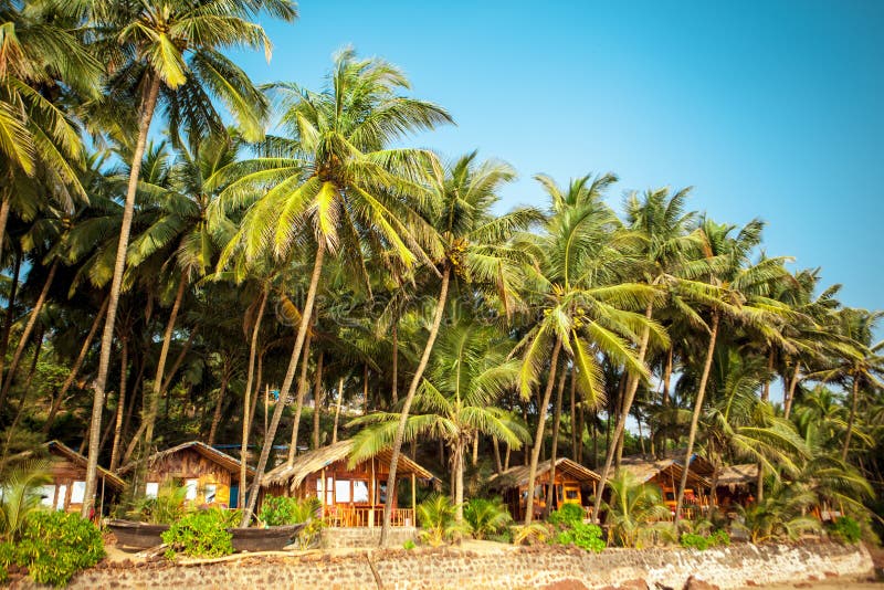 Cola Beach Goa South Goa India, Sunny Tropical Beach Foto de archivo ...