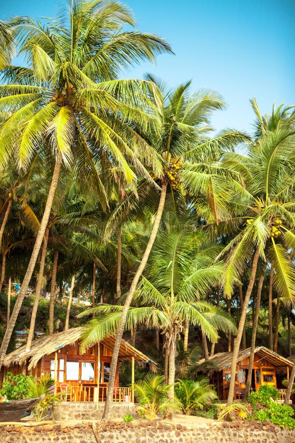 Cola Beach Goa. South Goa India, Sunny Tropical Beach Stock Image ...