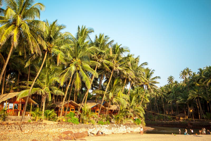 Cola Beach Goa South Goa India, Sunny Tropical Beach Imagen de archivo ...