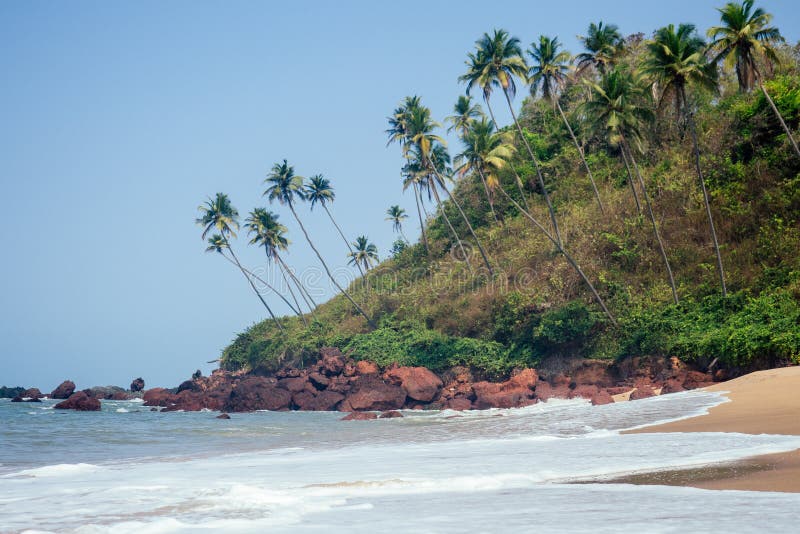 Cola Colva Beach in Paradise Goa Copyspase Stock Photo - Image of ...