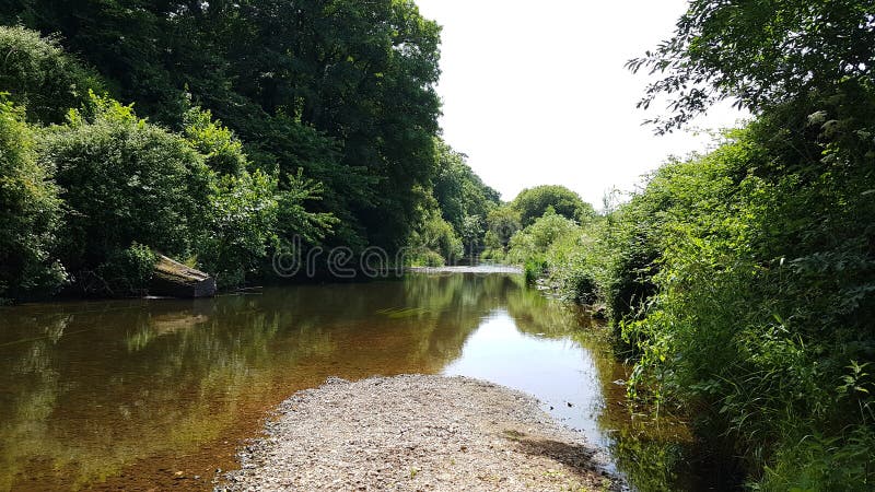 River Otter, Tipton St John, Devon Stock Image - Image of holds ...