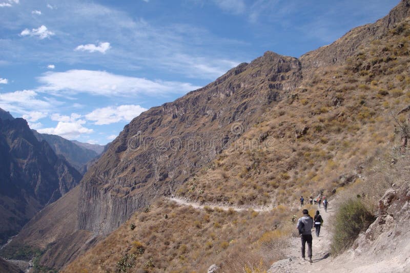Colca Canyon stock photo. Image of hills, cactus, colca - 47088132