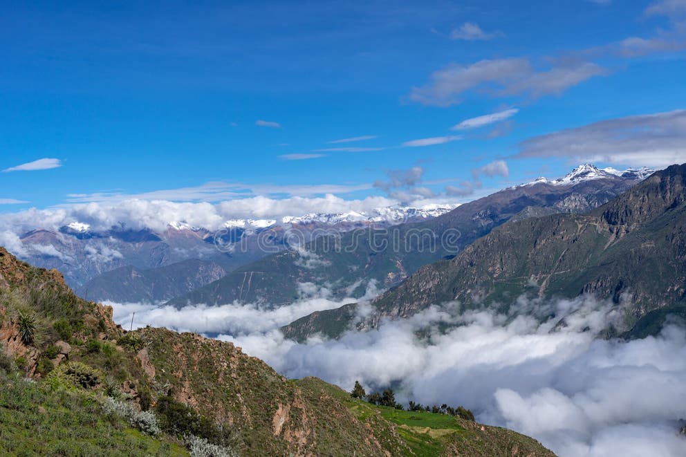 Colca Canyon with a Clear Blue Sky, Peru Stock Image - Image of horizon ...