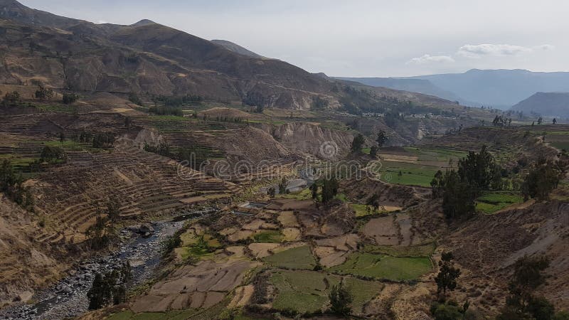 Colca Canyon stock image. Image of condor, peru, hiking - 109597883