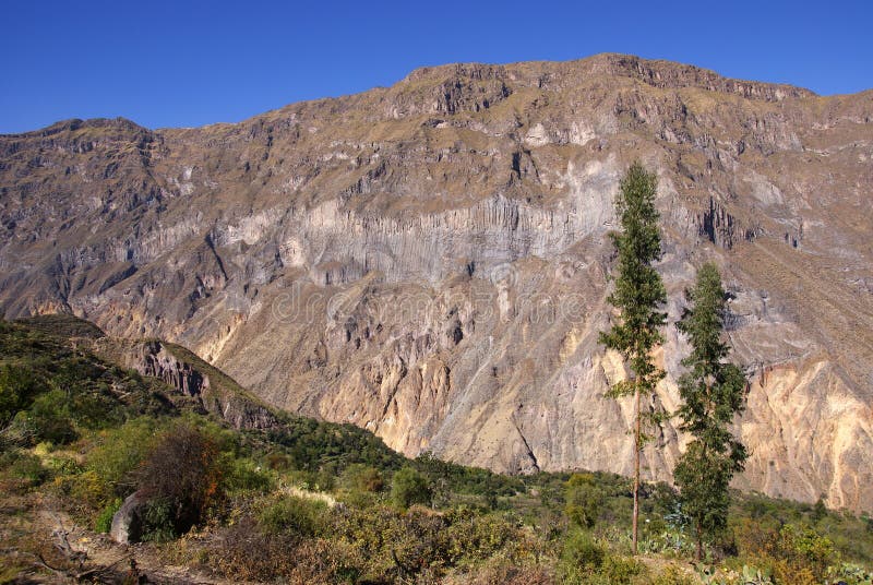 Colca canyon, Peru stock image. Image of tourism, desolate - 22860251