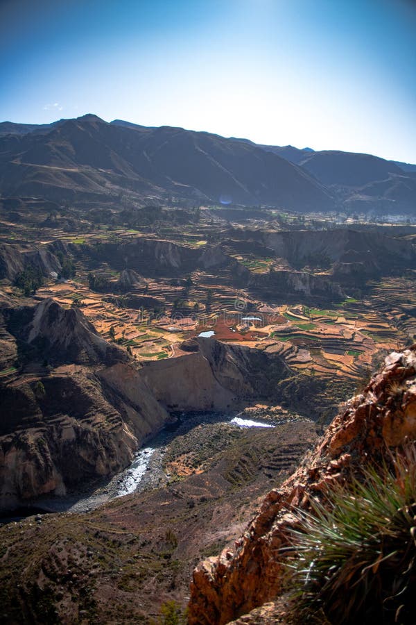 Colca canyon, Peru stock photo. Image of nature, plateau - 252116232