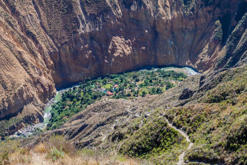 Colca canyon, Peru stock photo. Image of america, peak - 132310950