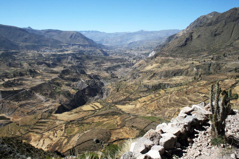 Colca-Schlucht, Peru, Südamerika. Inkas, Zum Der Landwirtschaft Von ...