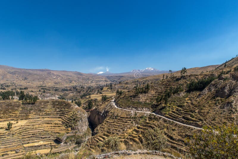 Colca-Tal-Landschaftspanorama-Terrassen Peru Stockfoto - Bild von inka ...