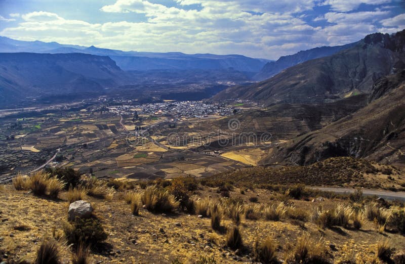 Colca Valey - Inca Terrace - Condors Home #2 Stock Image - Image of ...