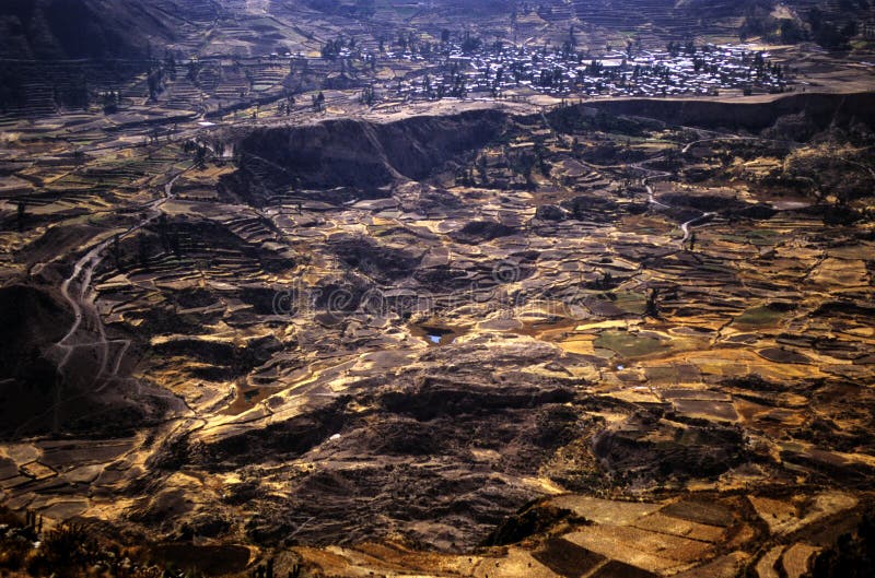 Colca Valey - Inca Terrace - Condors Home #2 Stock Photo - Image of ...