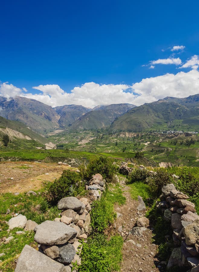 Colca Valley in Peru stock photo. Image of mountains - 109559464