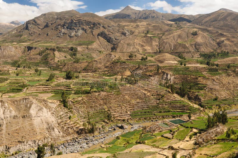 Colca canyon, Peru stock image. Image of landscape, cloudy - 60847805