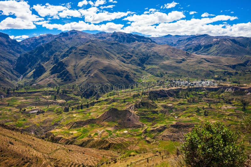 Colca Valley, Peru stock image. Image of condor, high - 68143225