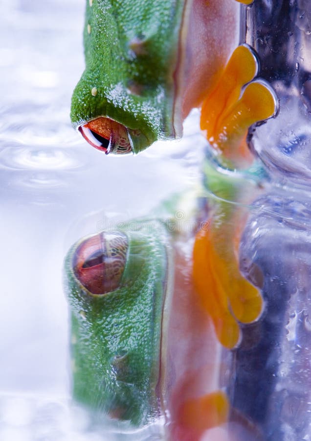 Cold Picture. Image: 1890353