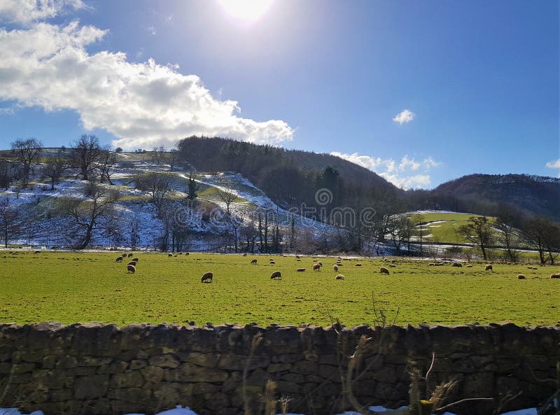 A Cold Afternoon with Blue Sky Stock Photo - Image of autumn, english ...